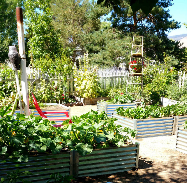 pollinator paradise – Metal Garden Beds, Inc.