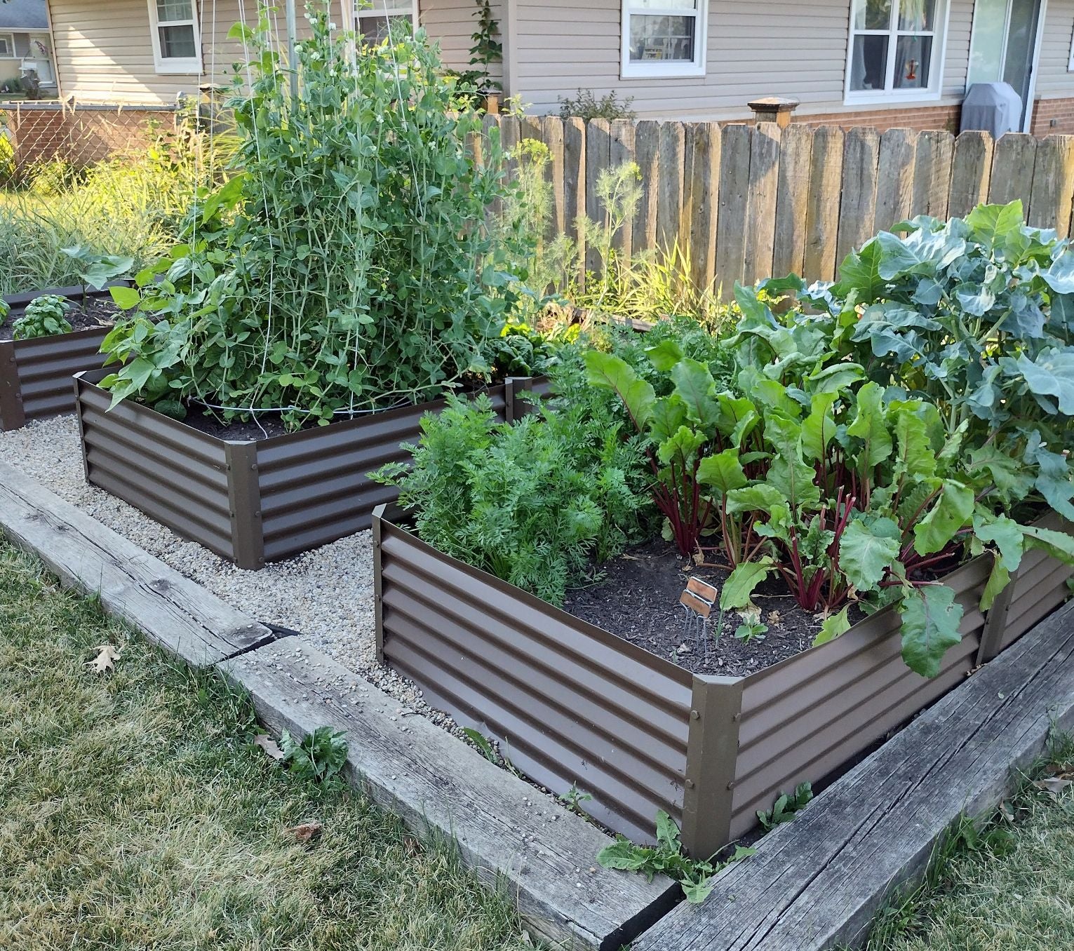 RUSTIC MEDIO – Metal Garden Beds, Inc.